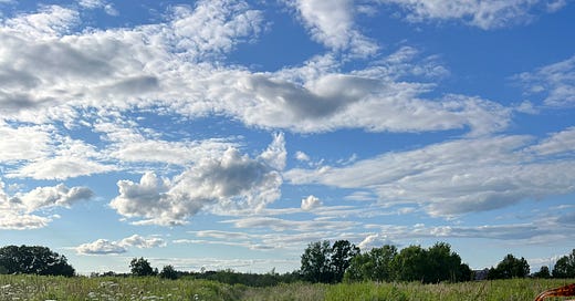 House of Green | Alexandra Fasulo | Substack