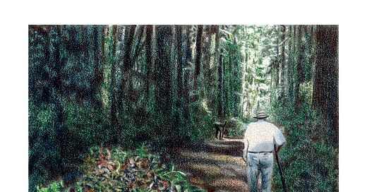 Messages from Sea & Cedar with Joanna Powell Colbert | Substack