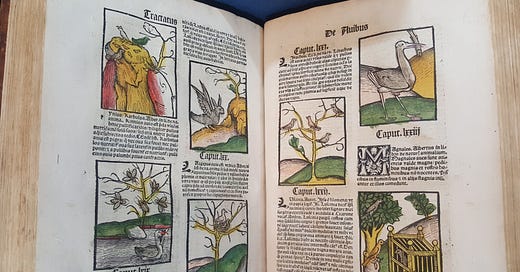 Res Obscura | Benjamin Breen | Substack