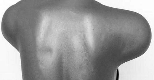 Burnt Greens | Shakirah Bey | Substack