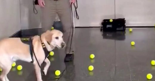 Extra Good | Bryce Gruber | Substack