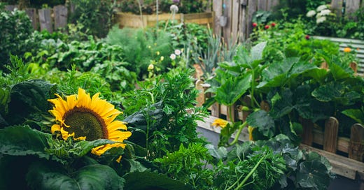 Huw Richards | Substack