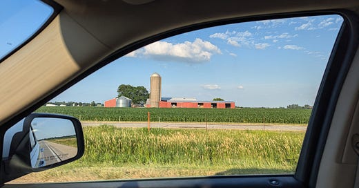 A Curious Nature | Sandy Obodzinski | Substack