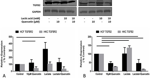 WMC Research | Walter M Chesnut | Substack