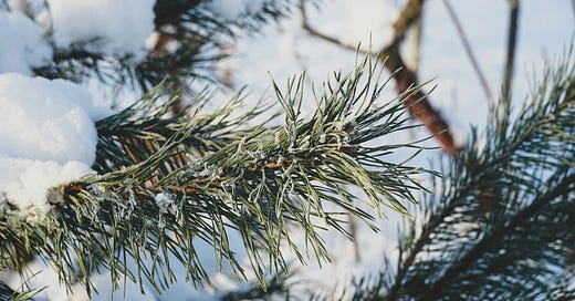 Machine Learning Pills | David Andrés | Substack