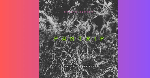 Soulful Revolution | Sophia Nunner | Substack