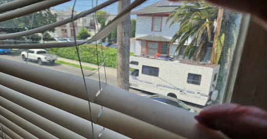 Unsettle | Kim TallBear | Substack