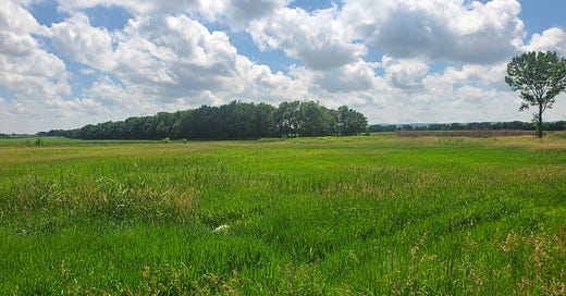 Unsettle | Kim TallBear | Substack