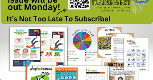 The Safety Training Net | Linda Tapp | Substack
