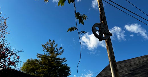 Home Base with Jeff Warren | Substack