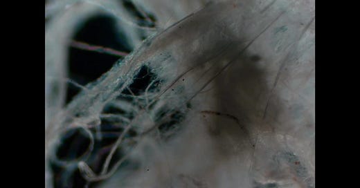 FM8’s Substack | Substack