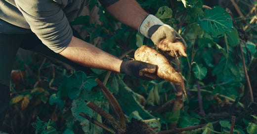 Huw Richards | Substack