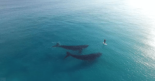 The Winner Cast | Mike Winner | Substack