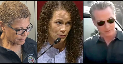 Public | Michael Shellenberger | Substack