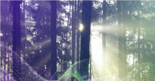 The Winner Cast | Mike Winner | Substack