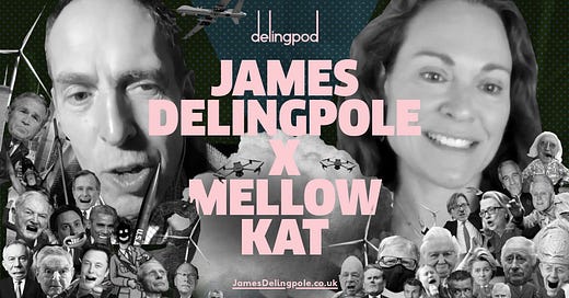 MellowKat - James Delingpole
