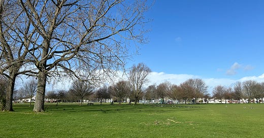 Lorraine’s Substack | Lorraine Flood | Substack