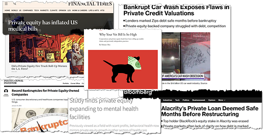 Blind Squirrel Macro | The Blind Squirrel | Substack