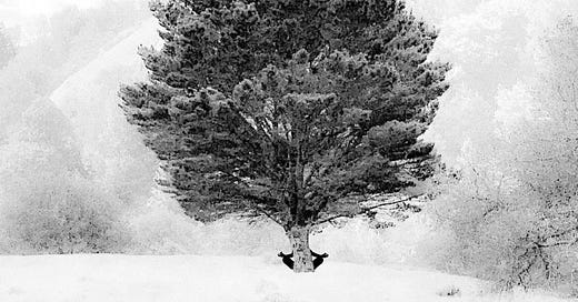 Home Base with Jeff Warren | Substack