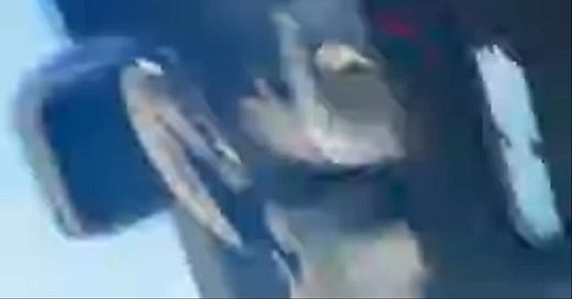 HRH COLLECTION | Substack