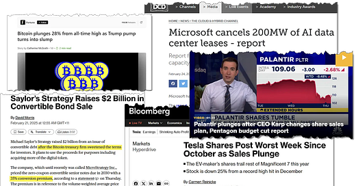 Blind Squirrel Macro | The Blind Squirrel | Substack