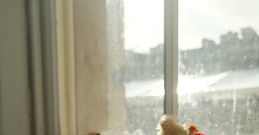 Jonathan Ogden | Substack