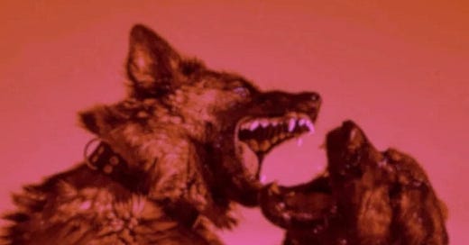 THE SECRET SUN EXTENSION SCHOOL | Christopher Knowles | Substack