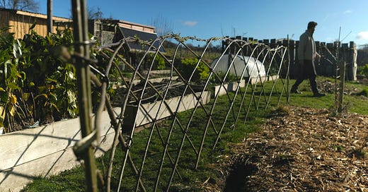 Huw Richards | Substack