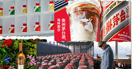 Blind Squirrel Macro | The Blind Squirrel | Substack