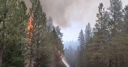 The Hotshot Wake Up | Substack