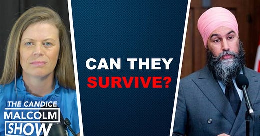 Juno News | Candice Malcolm | Substack