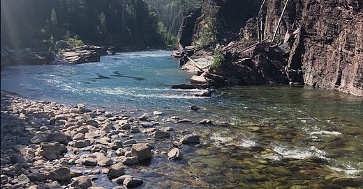 Public Domain | Chris D'Angelo | Substack