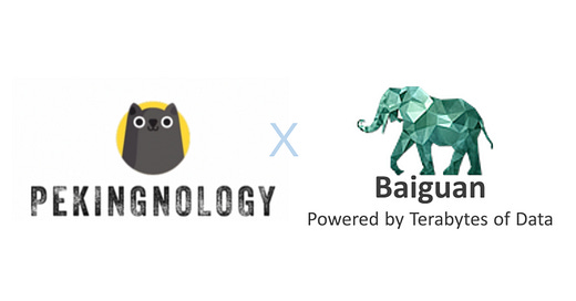 Baiguan - China Insights, Data, Context | Substack