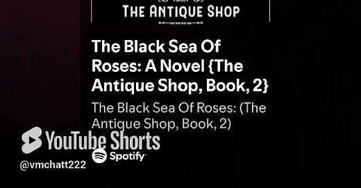 Vanessa’s Substack - Author | Vanessa M Chattman | Substack