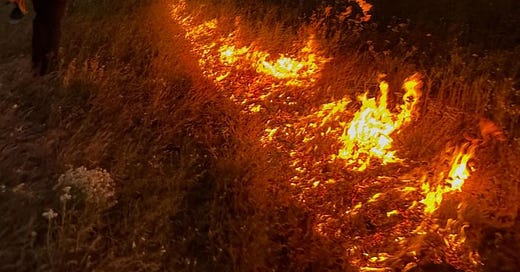 The Hotshot Wake Up | Substack