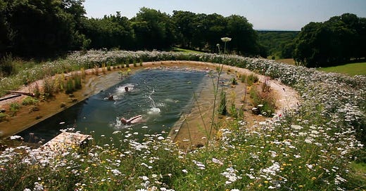 Organic Pools by David Pagan Butler | Substack
