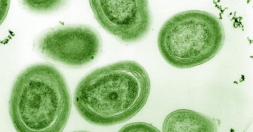 Decouple | Chris Keefer | Substack