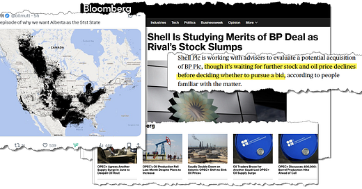 Blind Squirrel Macro - The Pod | The Blind Squirrel | Substack