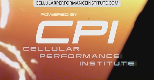 MellowKat's Newsletter | Substack