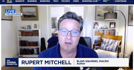 Blind Squirrel Macro - The Pod | The Blind Squirrel | Substack