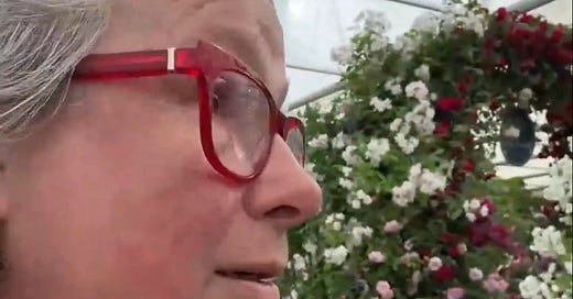 Common Farm Flowers by Georgie Newbery | Substack