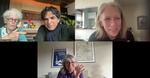 Seeing Things | Liza Donnelly | Substack