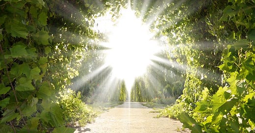 Family Worship Companion | Armen Thomassian | Substack