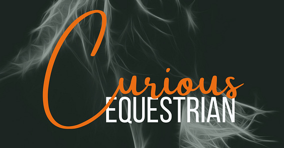 Curious Equestrian | Substack