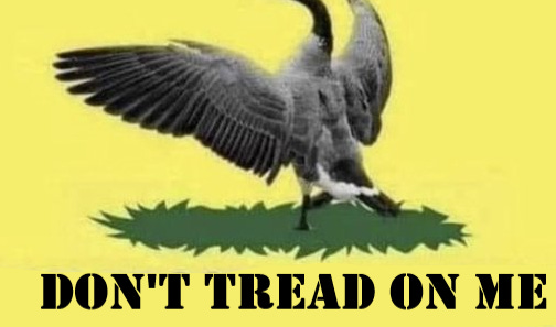 Welcome to Absurdistan, with Elizabeth Nickson | elizabeth nickson ...