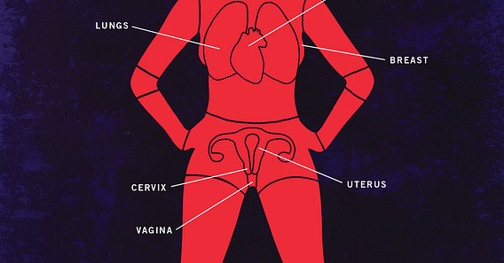 Ladyparts | Deborah Copaken | Substack