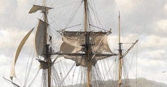 The Skeptical Cardiologist | Substack