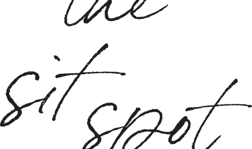 The Sit Spot | Maggie Mackellar | Substack