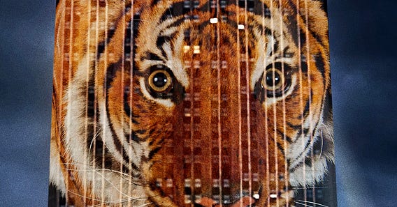 TGR Stripes | Kyle F Hence | Substack