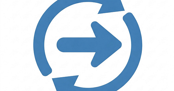 The Permanent Campaign | Stef Feldman | Substack